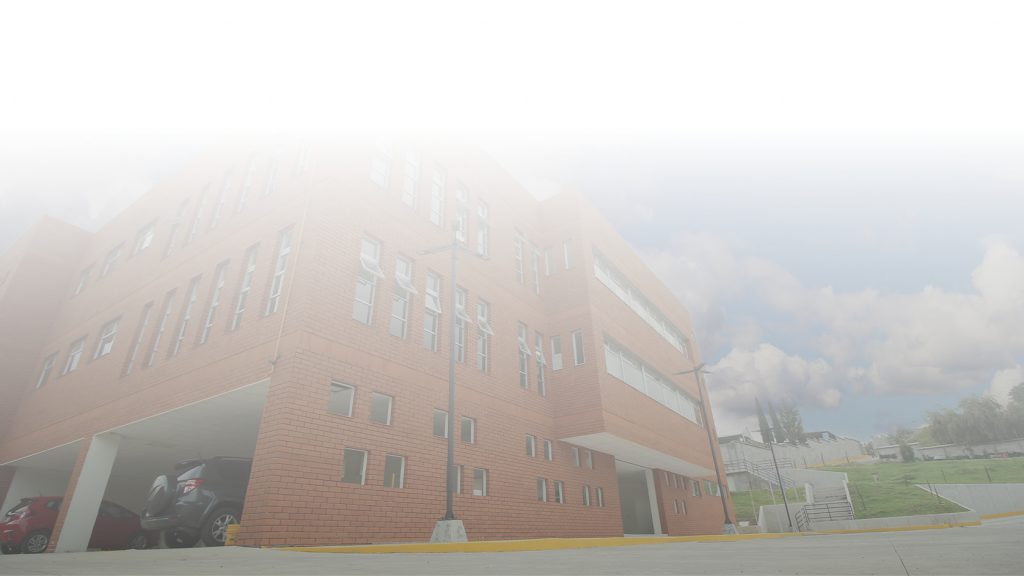 Cabecera | Colegio Los Fresnos